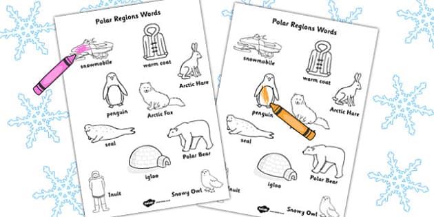 Polar Or Desert Region Printables