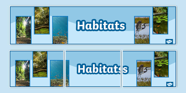 Habitats Photo Display Banner (teacher made) - Twinkl