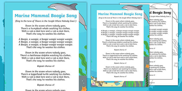 Marine Mammal Boogie Song (teacher made) - Twinkl