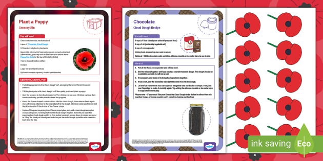 Poppy Activities for Early Years - Twinkl