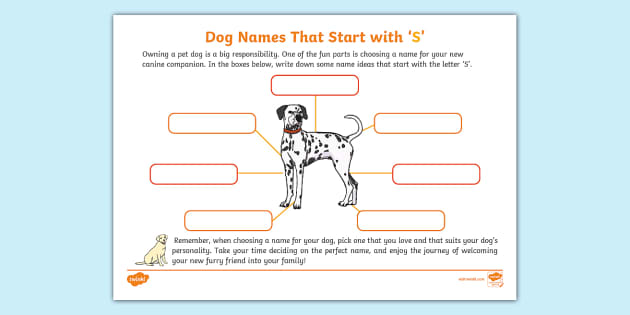 Dog names that start with s store