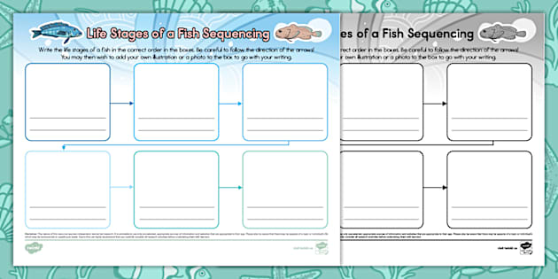 Life Stages of a Fish Sequencing Mind Map