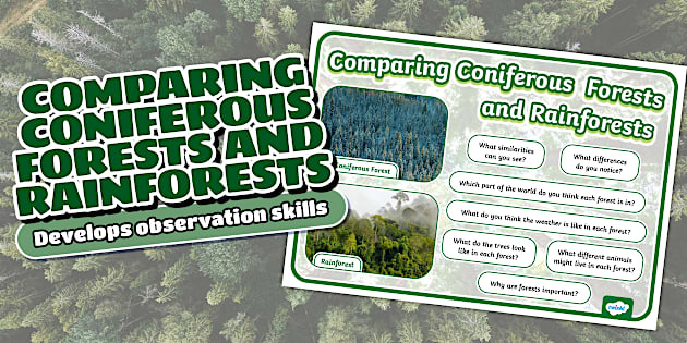 Coniferous Forests and Rainforests Discussion Prompt Poster