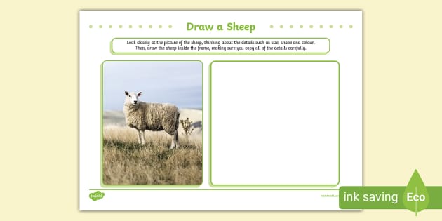 Draw a Sheep Art Activity, Sheep, Drawing (teacher made)