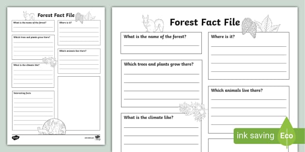 * NEW * Forest Fact File Template (creat de profesori)