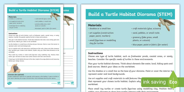 World Turtle Day: Turtle Habitat Diorama (STEM) - Twinkl