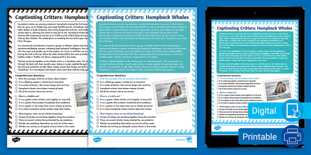 Eighth Gr. Humpback Whales Reading Comp. Activity - Twinkl