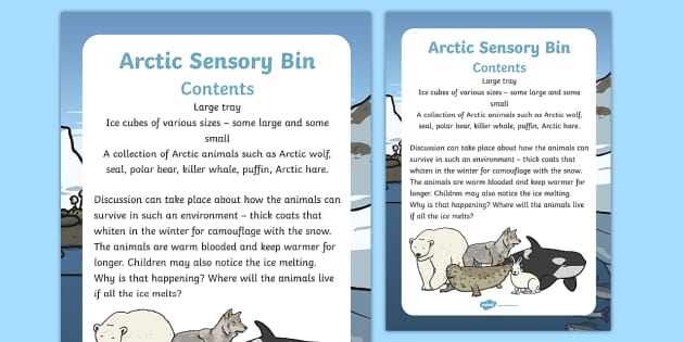 Arctic Sensory Bin | Twinkl (teacher made) - Twinkl