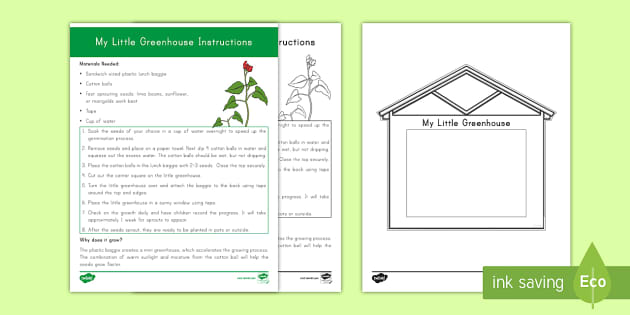 My Little Greenhouse STEAM Activity (teacher made)