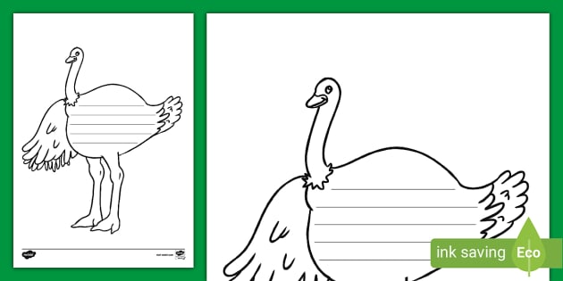 Ostrich Writing Template (l'enseignant a fait) - Twinkl