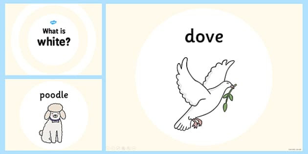 What is White Colour PowerPoint (teacher made)