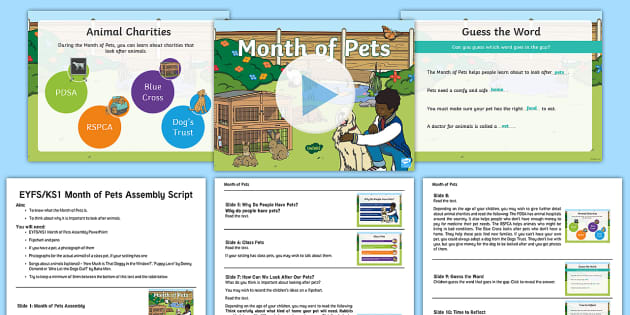 EYFS KS1 Month of Pets Assembly Pack (teacher made) - Twinkl