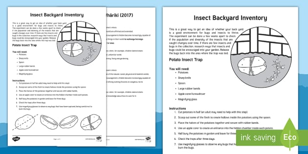Insect Backyard Inventory Activity (teacher made) - Twinkl