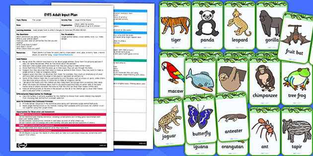 Jungle Animal Masks EYFS Adult Input Plan and Resource Pack - lesson plan