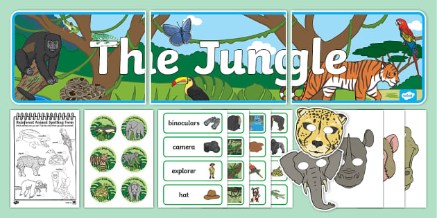 Jungle Explorers Role-Play Pack (teacher made) - Twinkl
