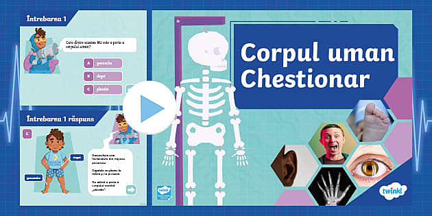 Chestionar despre corpul uman – PowerPoint interactiv