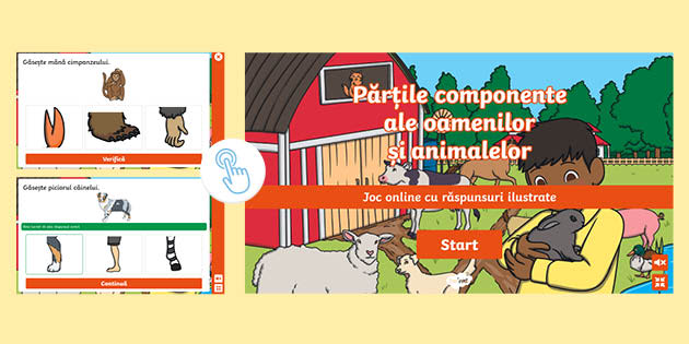 Părțile componente ale corpului oamenilor și animalelor