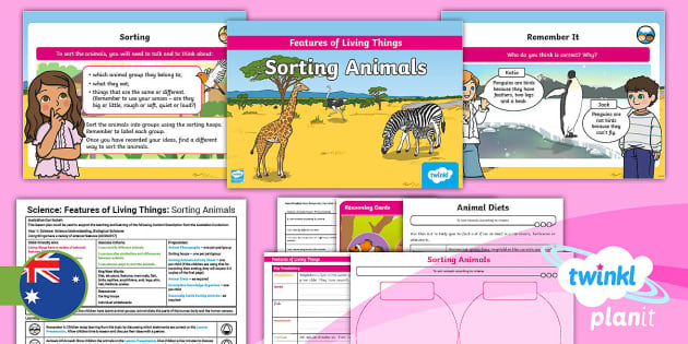 Year 1 Science Features of Living Things Lesson 6