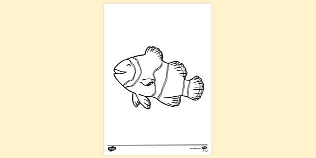 FREE! - Fish Colouring Page | Colouring Sheets - Twinkl