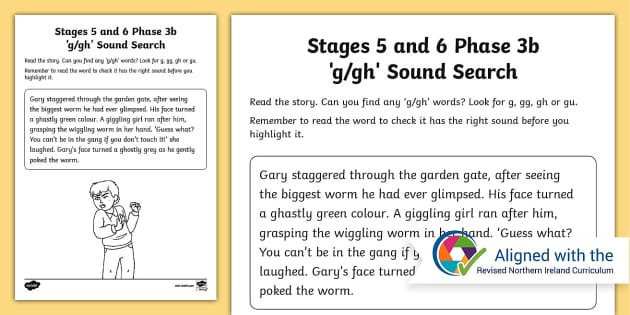 Northern Ireland Linguistic Phonics 3b 'g/gh' Sound Search Worksheet