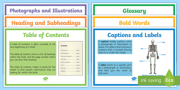 Text Features Display Posters (teacher made)