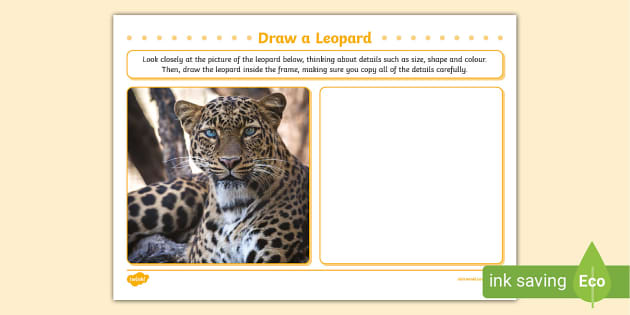 Draw a Leopard Art Activity,leopard (teacher made) - Twinkl