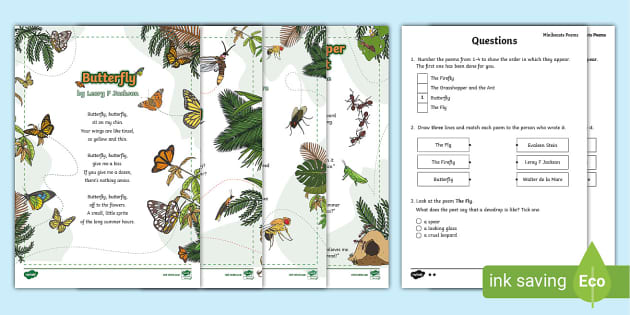 KS1 Minibeasts Poems Differentiated Reading Comprehension