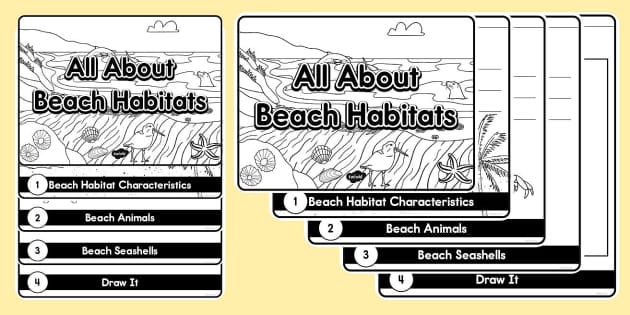 All About Beach Habitats Flipbook for K-2nd Grade - Twinkl