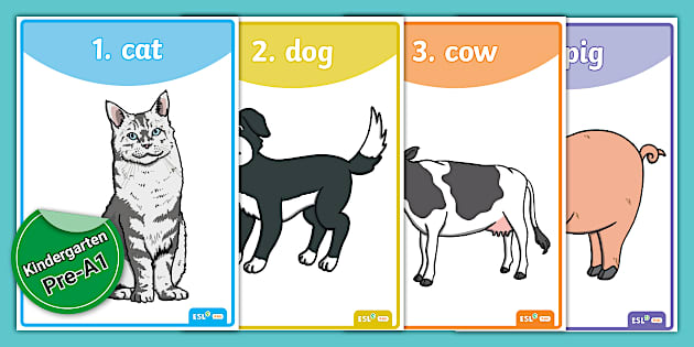 ESL Animals Posters {Kindergarten, Pre-A1} (teacher made)