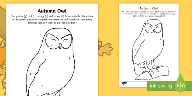 Autumn Owl Art Outdoor Worksheet / Worksheet
