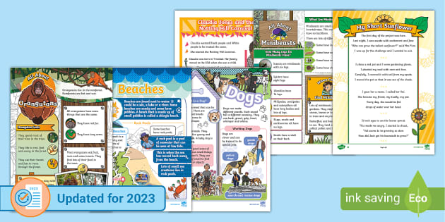 KS1 August Differentiated Reading Comprehension Activity Pack