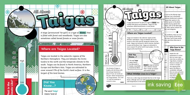 Infographic Ks2