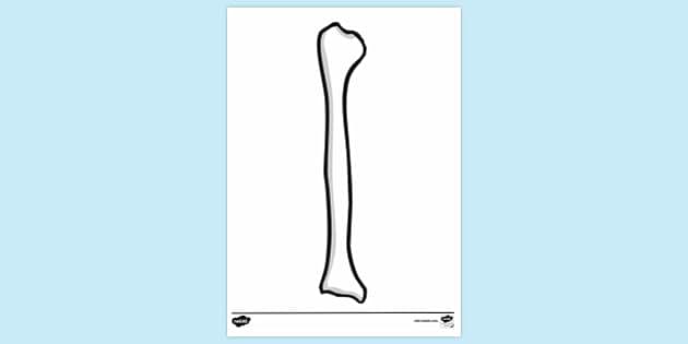 FREE! - Humerus Colouring Sheet (teacher made) - Twinkl