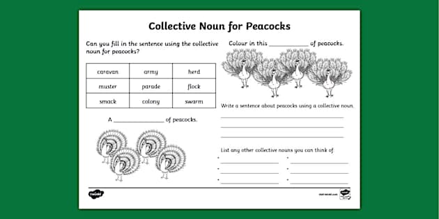 Collective Name for Peacocks Worksheet (teacher made)