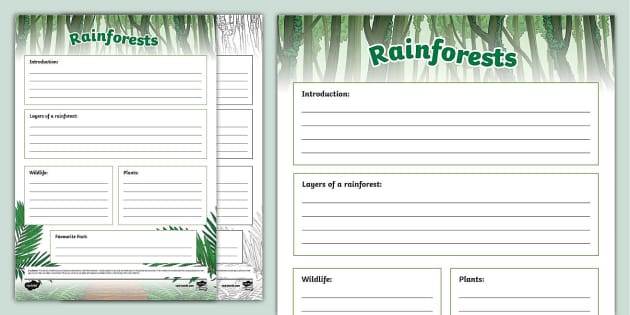 Rainforests Non-Chronological Report Template (teacher made)