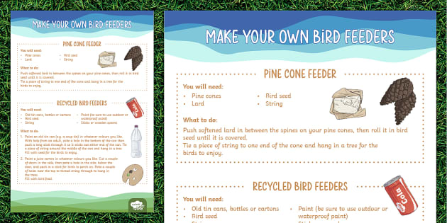 Make Your Own Bird Feeder - Outdoor Activity | Twinkl Party
