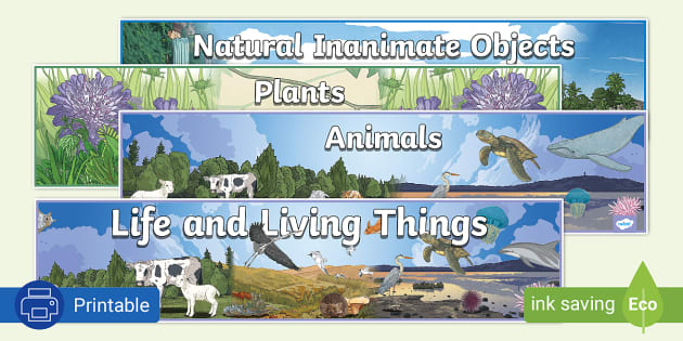 Life and Living Things - Banners (teacher made) - Twinkl