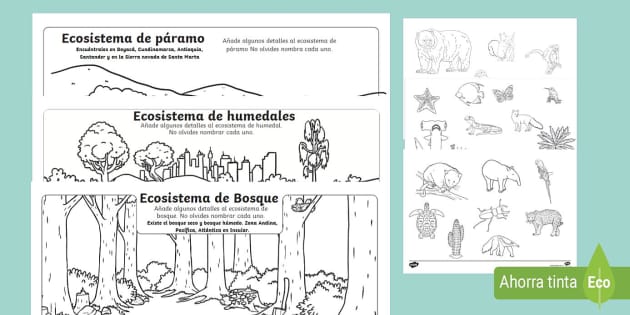 Ecosistemas de Colombia para colorear | Twinkl - Twinkl