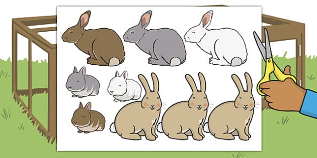 Black and White Fluffy Bunny Cut-Outs (teacher made)