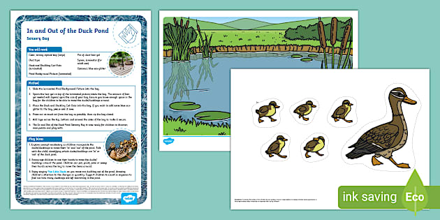 In and Out of the Duck Pond Sensory Bag | Early Concepts | Twinkl