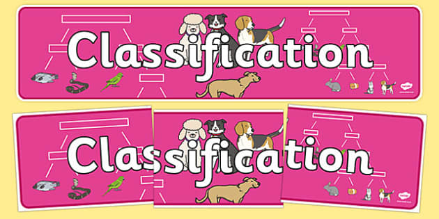 Classification Display Banner