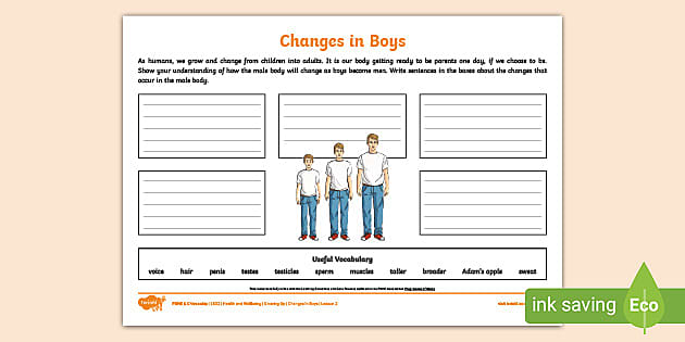 Rshe Puberty Changes In Boys Activity Teacher Made