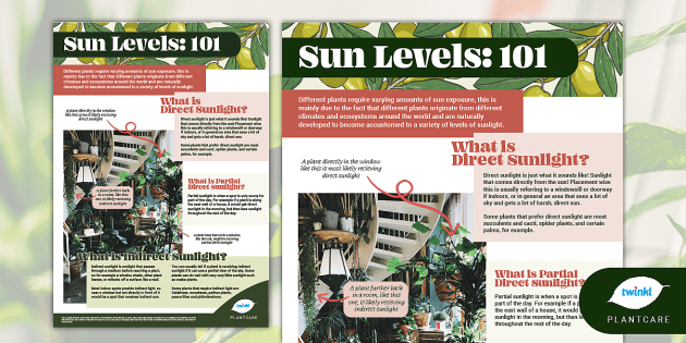 Sun Levels: 101, sunlight requirements and terminology