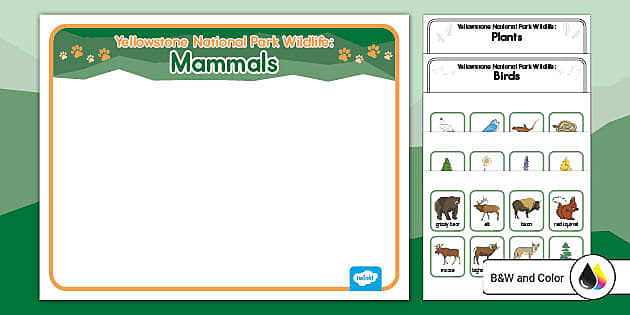 Yellowstone National Park Sorting Mat Activity | Twinkl USA