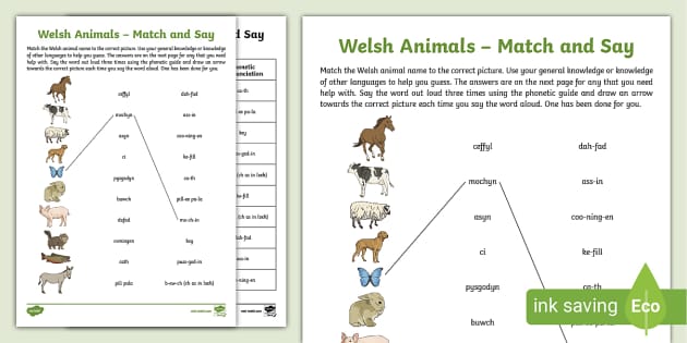 Learn Welsh Animals Match and Say Activity Sheet