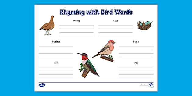Rhyme with Bird Words Worksheet - Twinkl