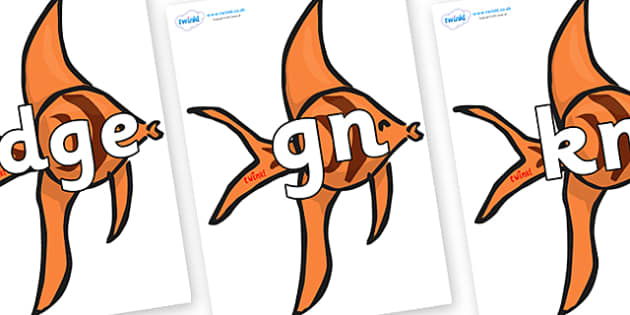 Silent Letters on Angel Fish (teacher made) - Twinkl