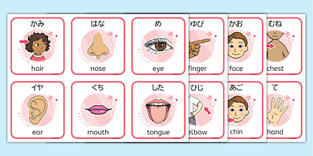 * NEW * Body Parts Flashcards- Bilingual (teacher made)