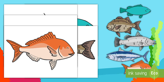 Cartoon Ocean Fish | Fish Cut-Outs | Twinkl