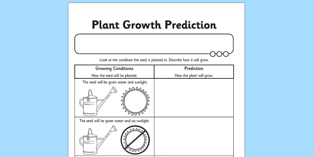 Plant Growth Prediction Worksheet - plants, living things, plant